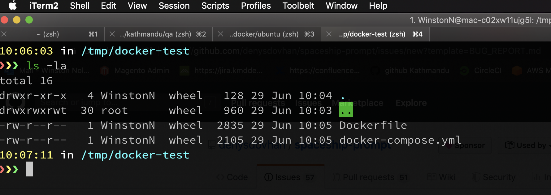 Docker Section Not Showing · Issue 691 · Spaceship Promptspaceship