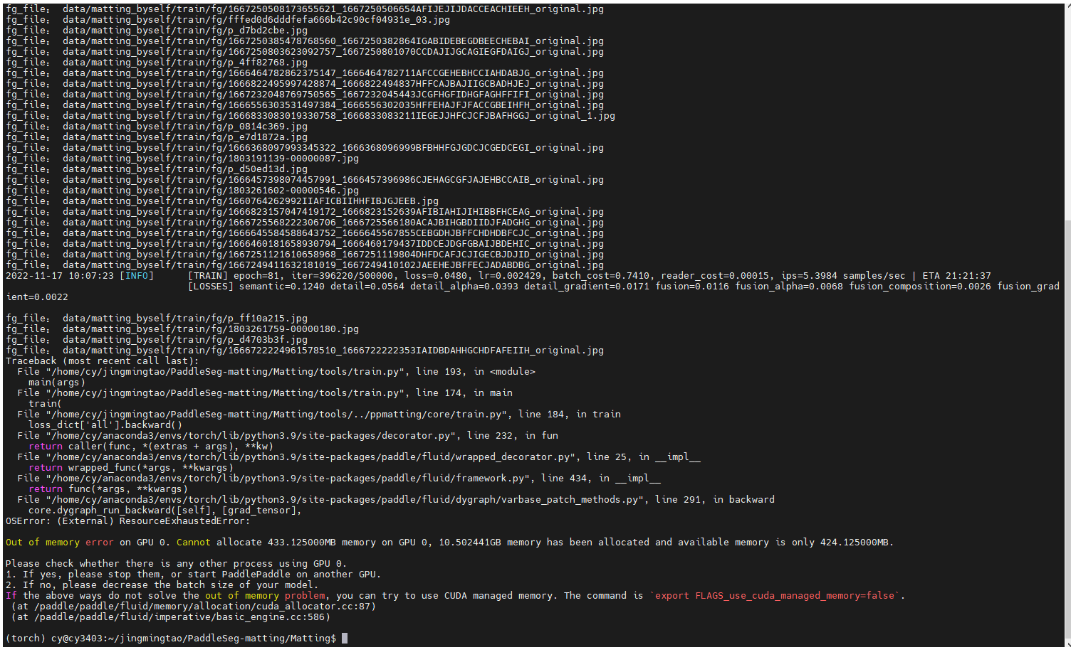 使用matting训练至几十轮，突然out of memary，在relu激活能否使用with paddle.no_grad()语句解决 · Issue #2772 ...