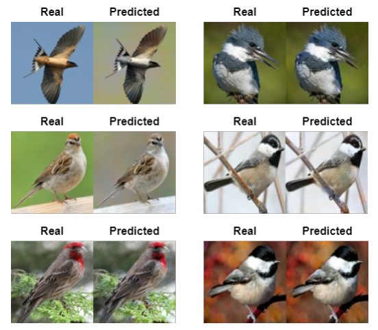 GitHub - ramgopalputta/Image_Colorization_using_Generative_Adversarial_Networks