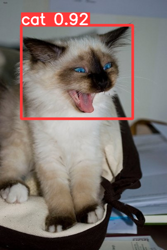 GitHub - Stebin-17/PET-IDENTIFICATION-SYSTEM-USING-YOLOv5