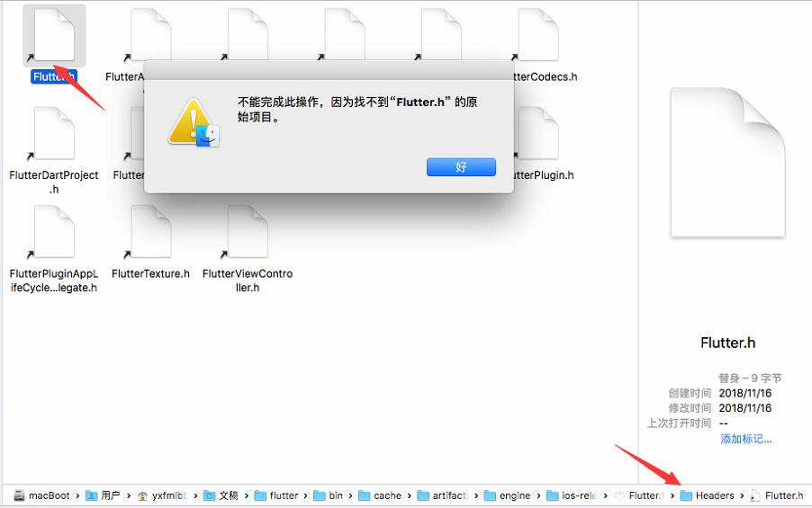 about Flutter/flutter.h not found on ios · Issue #24428 · flutter/flutter · GitHub