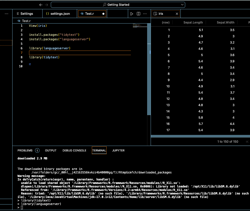 Trouble Running R + Radian in VSCode for Mac M1 · Issue #1220 · REditorSupport/vscode-R · GitHub