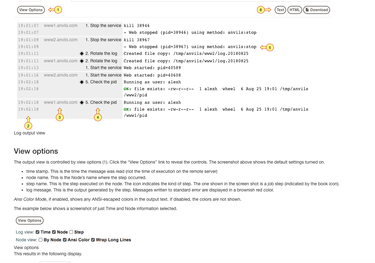 Documentation bug - log output view options and download details · Issue #148 · rundeck/docs ...