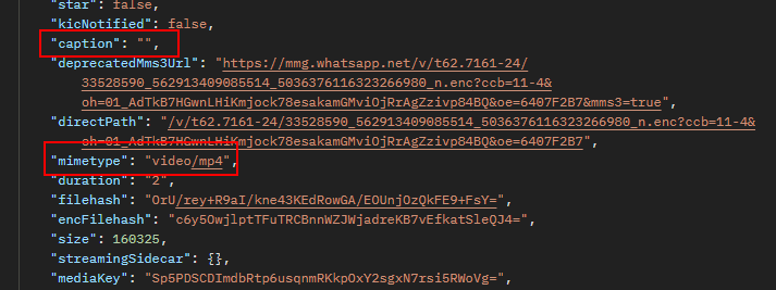 Sending Video mp4 with Caption made the fetchMessages result has no mimetype and type is "chat ...