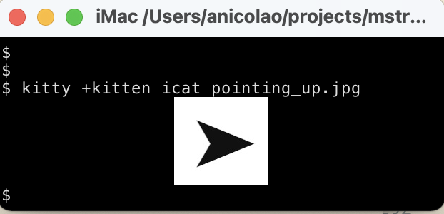 Kitty doesn't respect EXIF rotation · Issue #3518 · kovidgoyal/kitty · GitHub