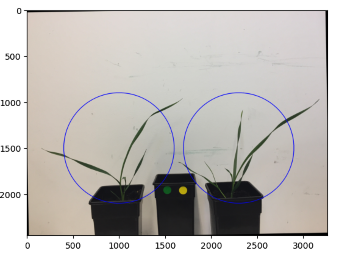 Error when running analysis · Issue #975 · danforthcenter/plantcv · GitHub