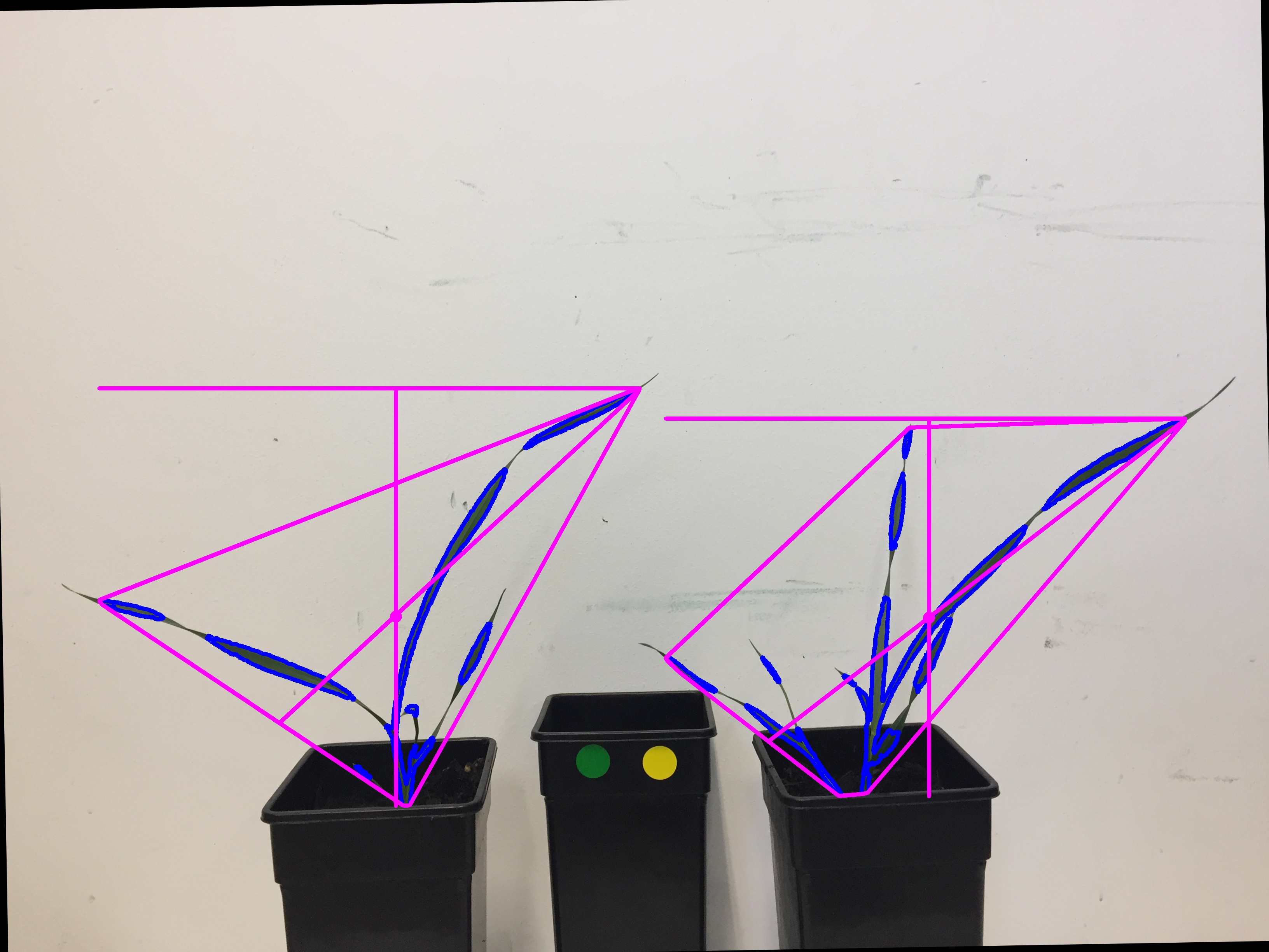 Error when running analysis · Issue #975 · danforthcenter/plantcv · GitHub