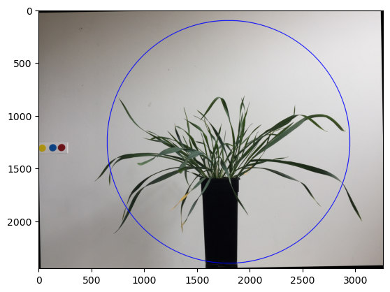 Error when running analysis · Issue #975 · danforthcenter/plantcv · GitHub