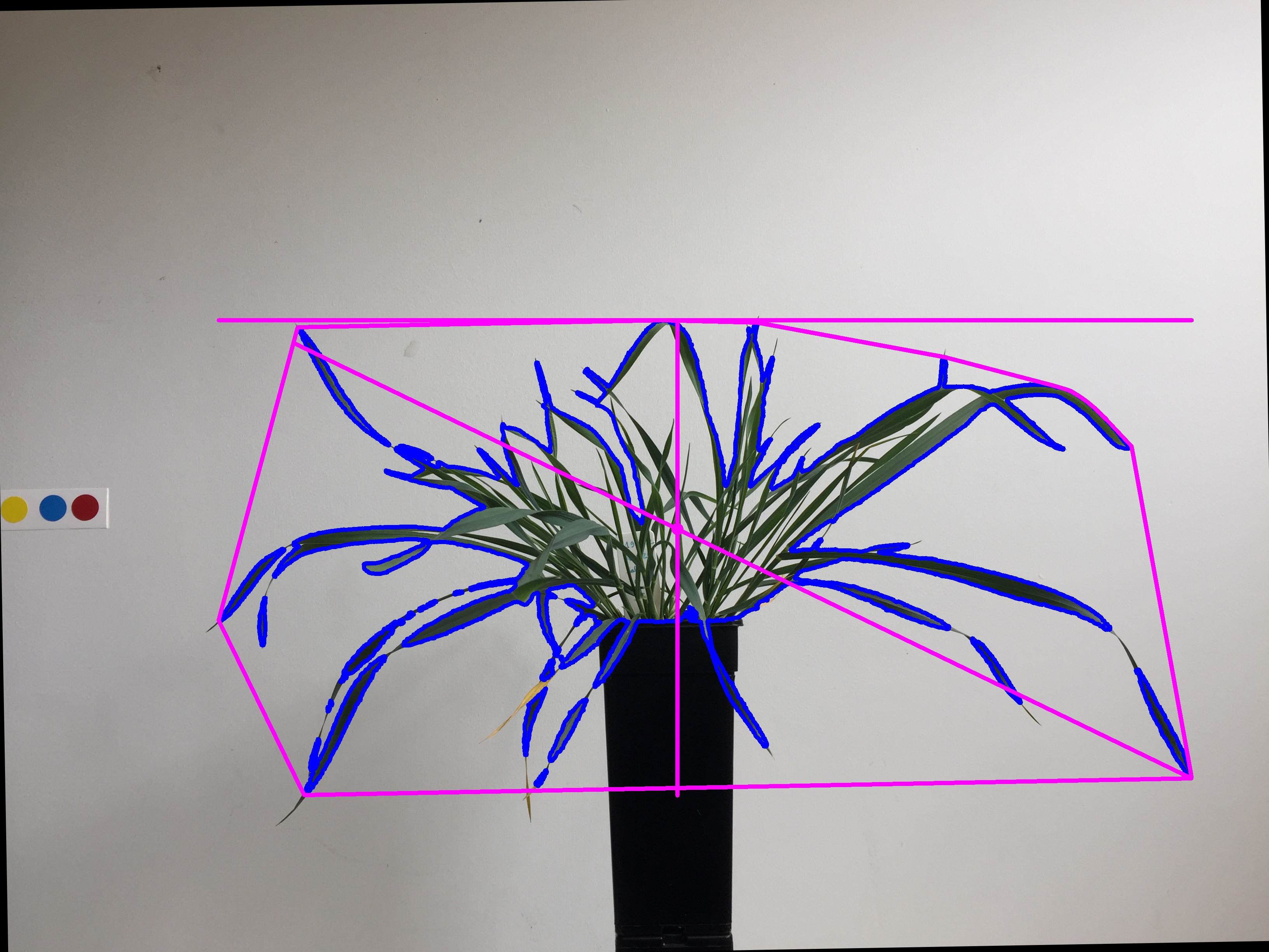 Error when running analysis · Issue #975 · danforthcenter/plantcv · GitHub