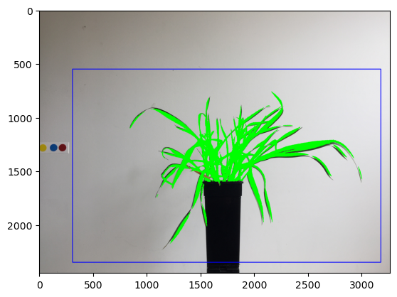Error when running analysis · Issue #975 · danforthcenter/plantcv · GitHub