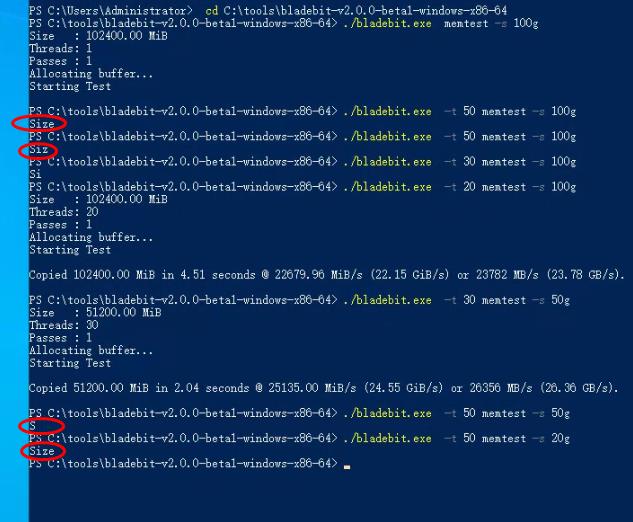 bladebit Nothing happened · Issue #215 · Chia-Network/bladebit · GitHub