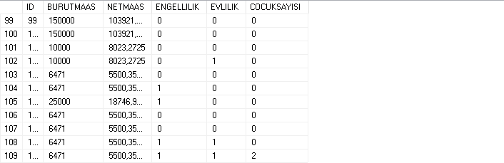 GitHub - barbo7/MaasHesaplamaProgrami: Nesne yönelimli programlama dersinde, hocamızın istediği ...