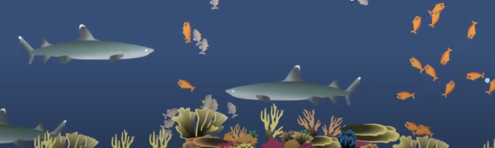 GitHub - Jaimemanrique/sharks_limpieza