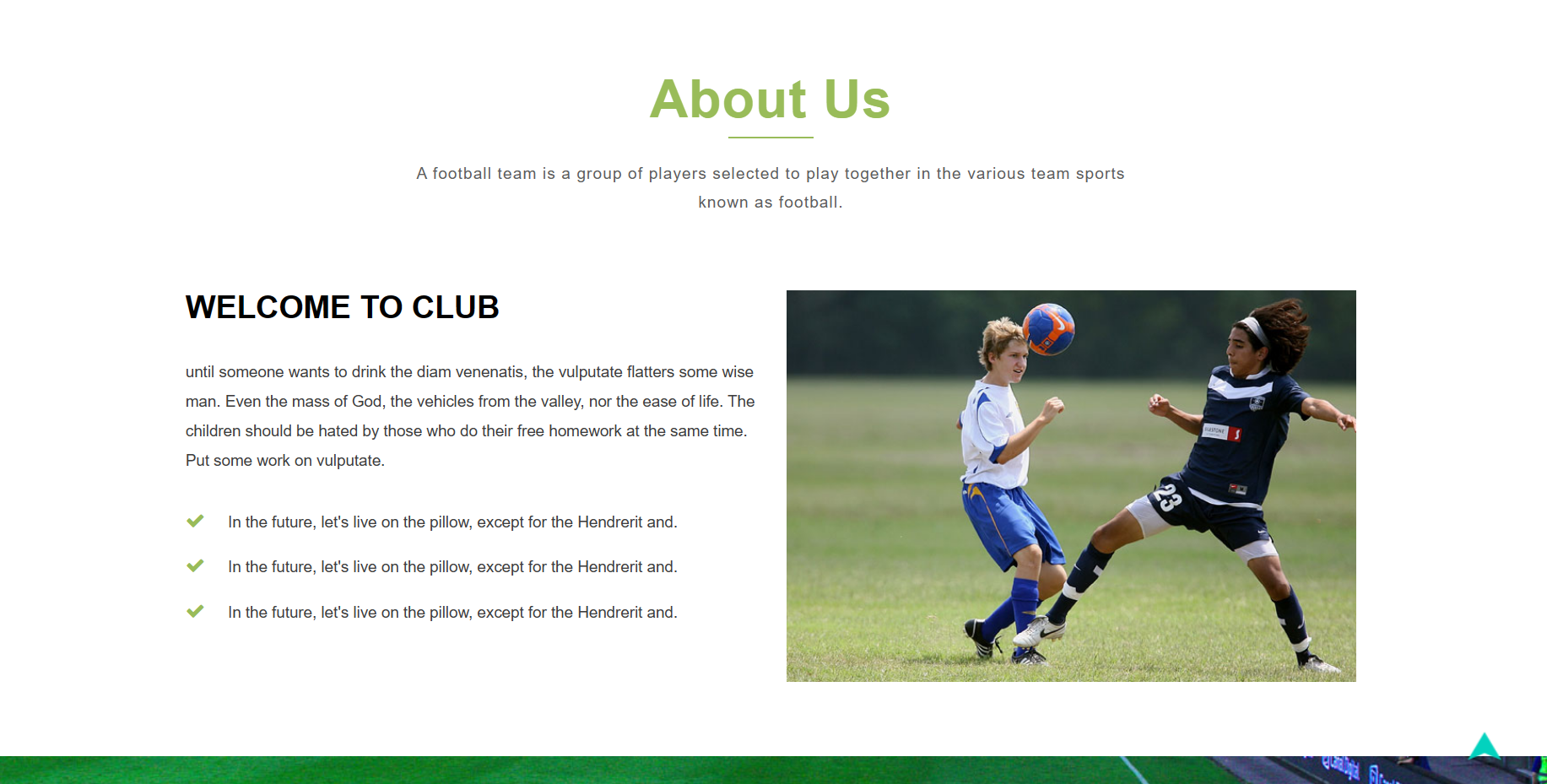 GitHub - ZynubFirdose/FRT-project