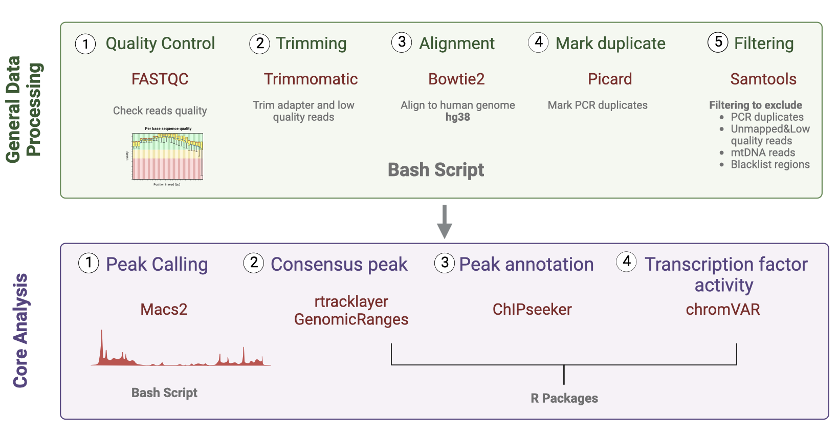 Github Alghurmff Atac Seq Pipeline