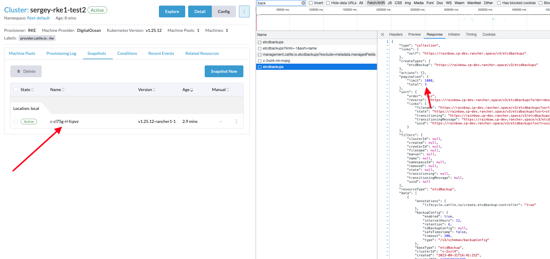 etcd snapshots not appearing properly for RKE downstream clusters in ...