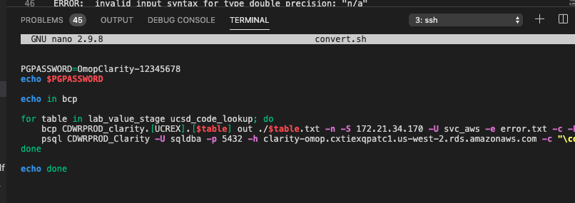 Nano on terminal not showing cursor · Issue #84284 · microsoft/vscode · GitHub