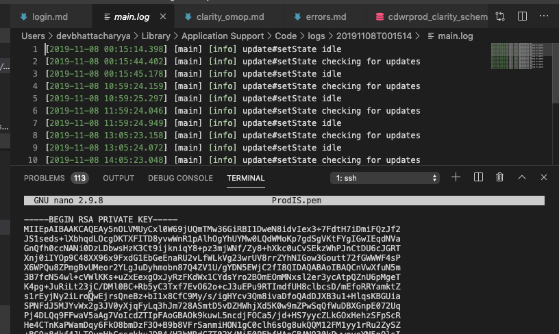 Nano on terminal not showing cursor · Issue #84284 · microsoft/vscode · GitHub