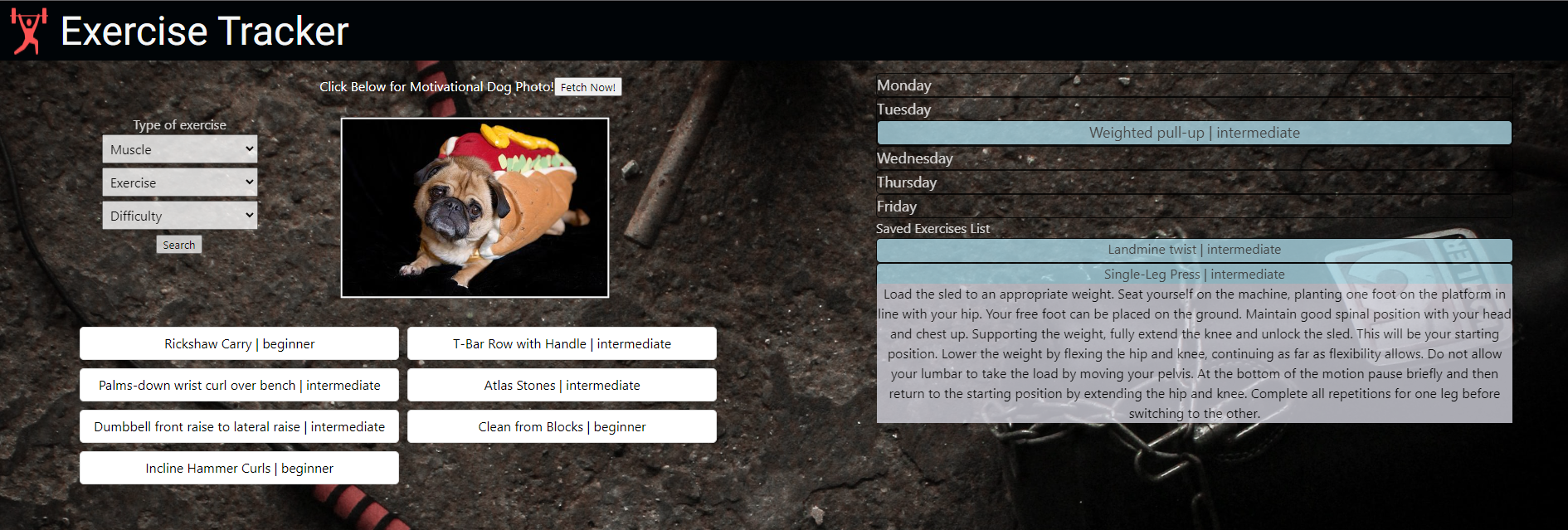 GitHub - Azurelo/exercise-tracker