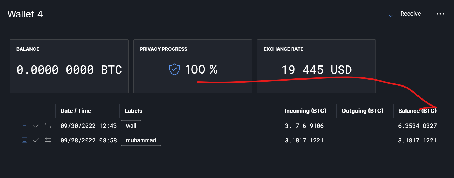 Wallet amount incorrect · Issue #9217 · WalletWasabi/WalletWasabi · GitHub