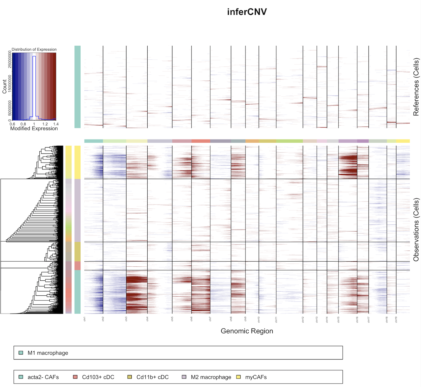 CNV express all gene position of chromsome problem · Issue #600 · broadinstitute/infercnv · GitHub