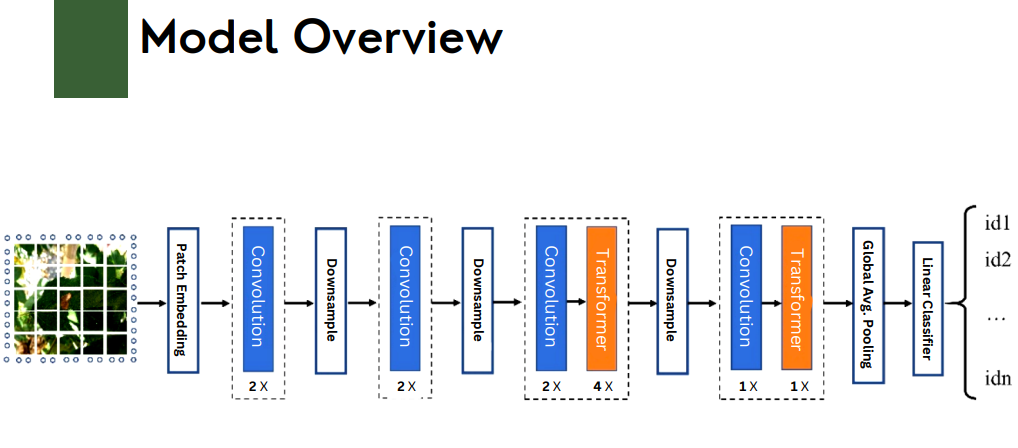 GitHub - iiitayushi/Apple-Disease-Identification-Model: Transformer ...