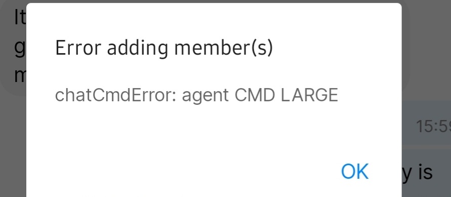 Error Adding Members On Group · Issue 1717 · Simplex Chatsimplex Chat 3402