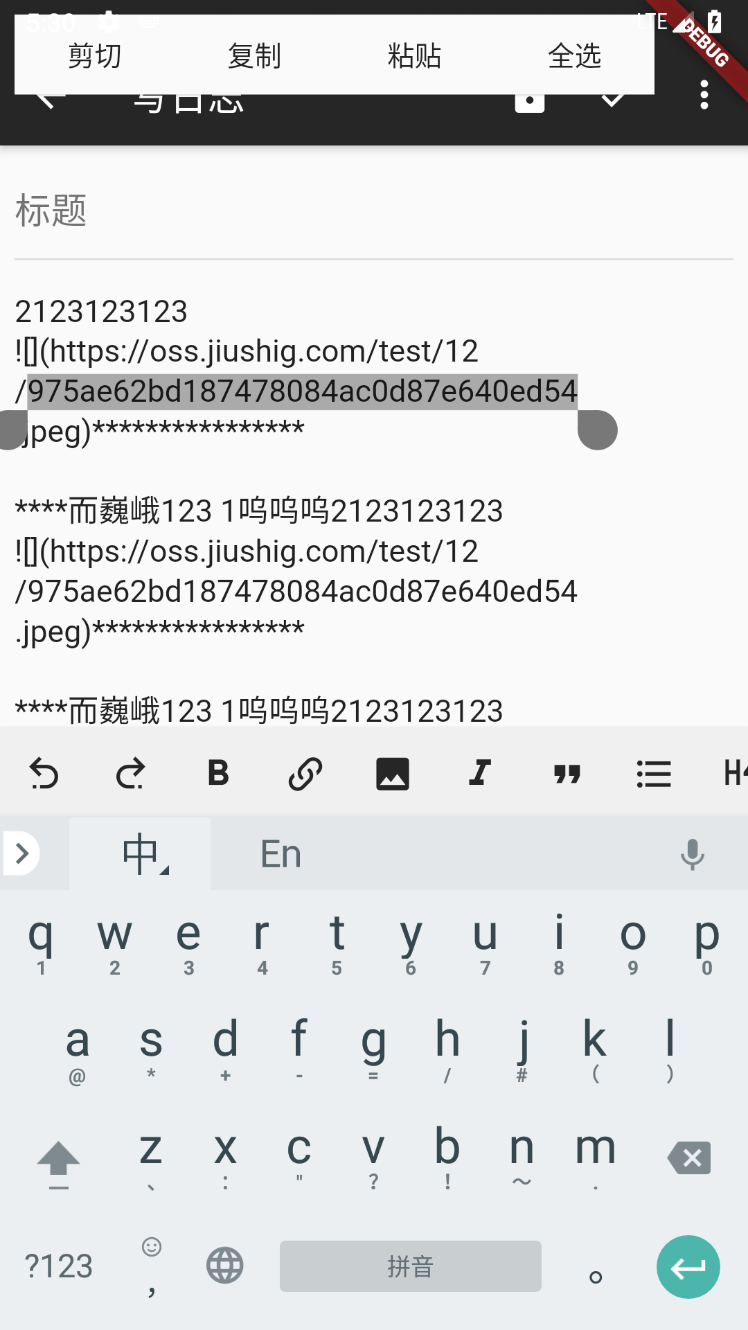 Copy And Paste Controls Position In Textfield Widget Display Is
