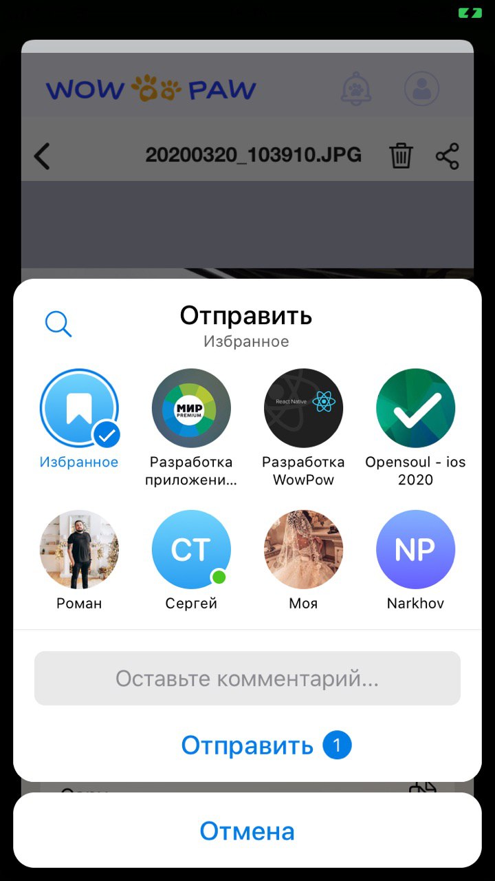 Cannot Share Image In Base64 To Telegram · Issue 737 · React Native 