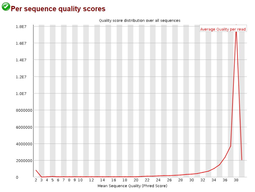 GitHub - DomnaVasil/hse_hw2_chip