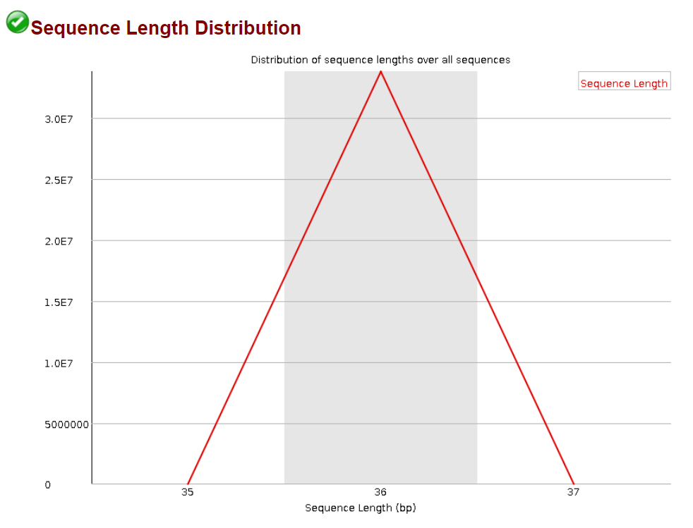 GitHub - DomnaVasil/hse_hw2_chip