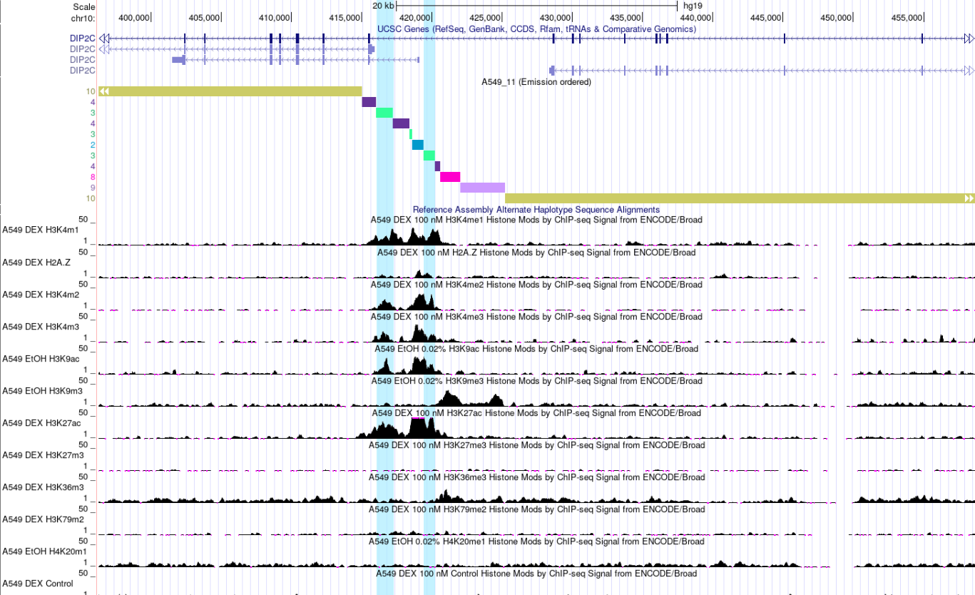 GitHub - DomnaVasil/hse_hw3_chromhmm
