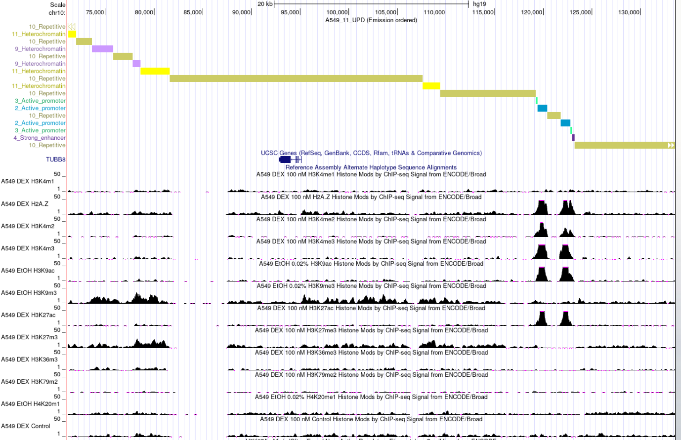 GitHub - DomnaVasil/hse_hw3_chromhmm