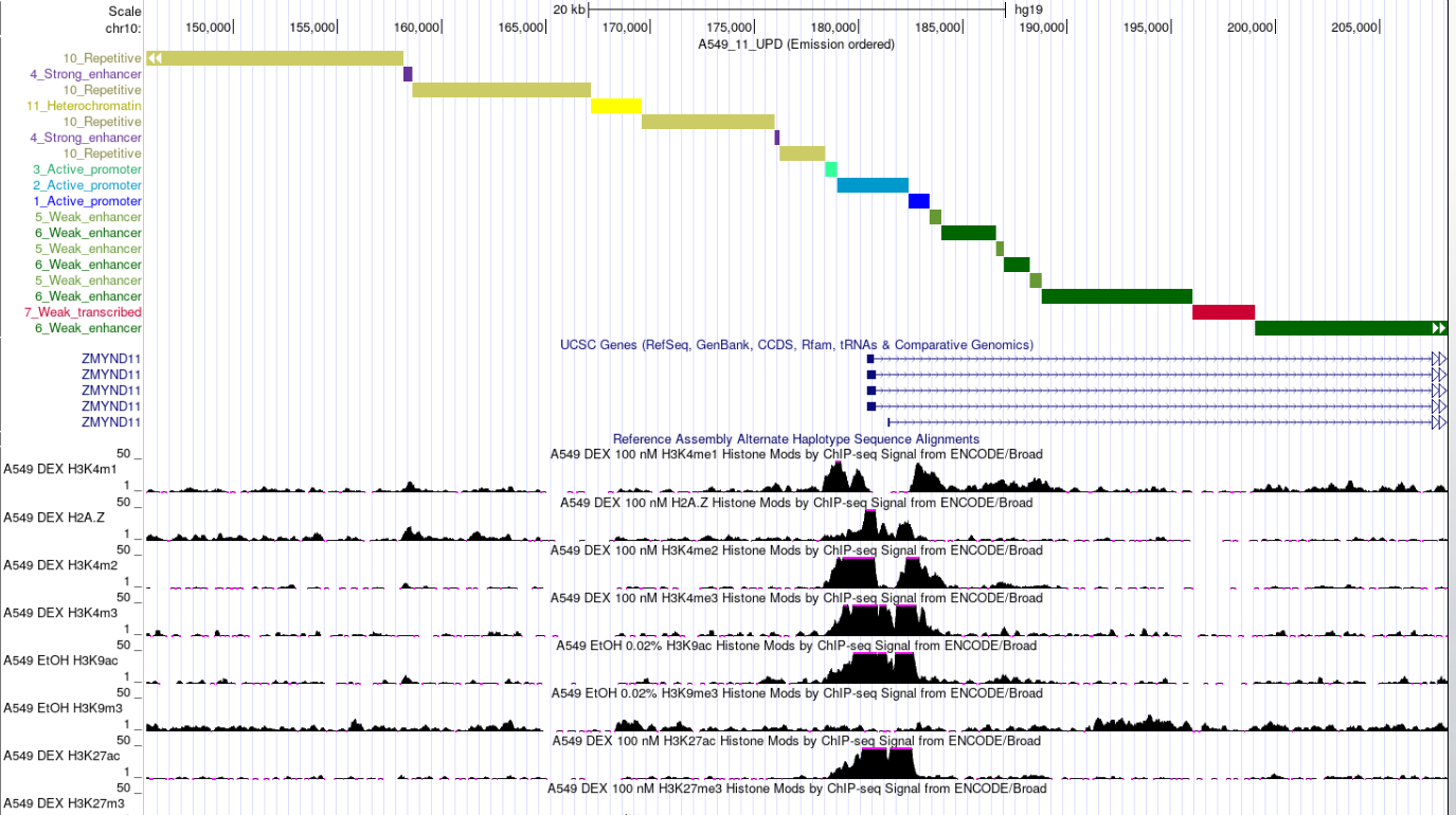 GitHub - DomnaVasil/hse_hw3_chromhmm
