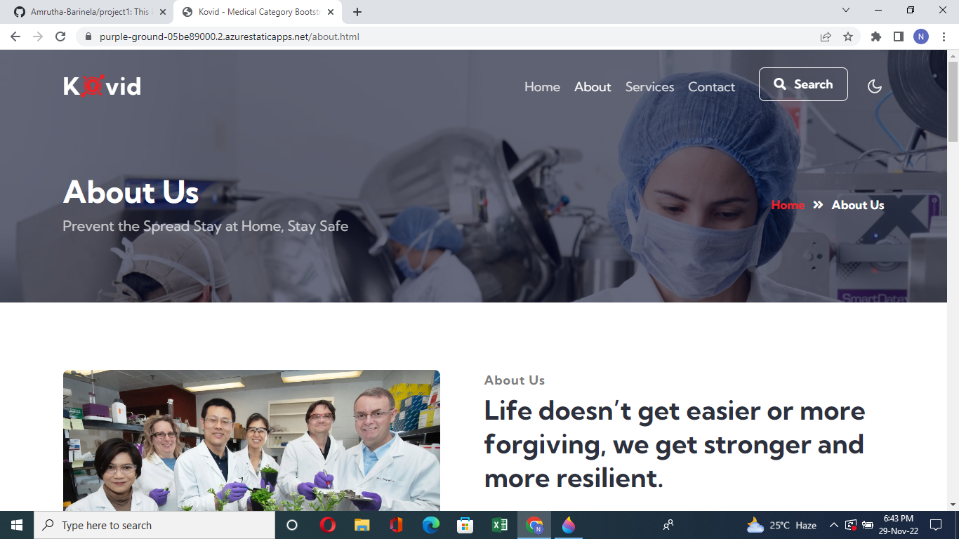 GitHub - Amrutha-Barinela/project1: This is my project1