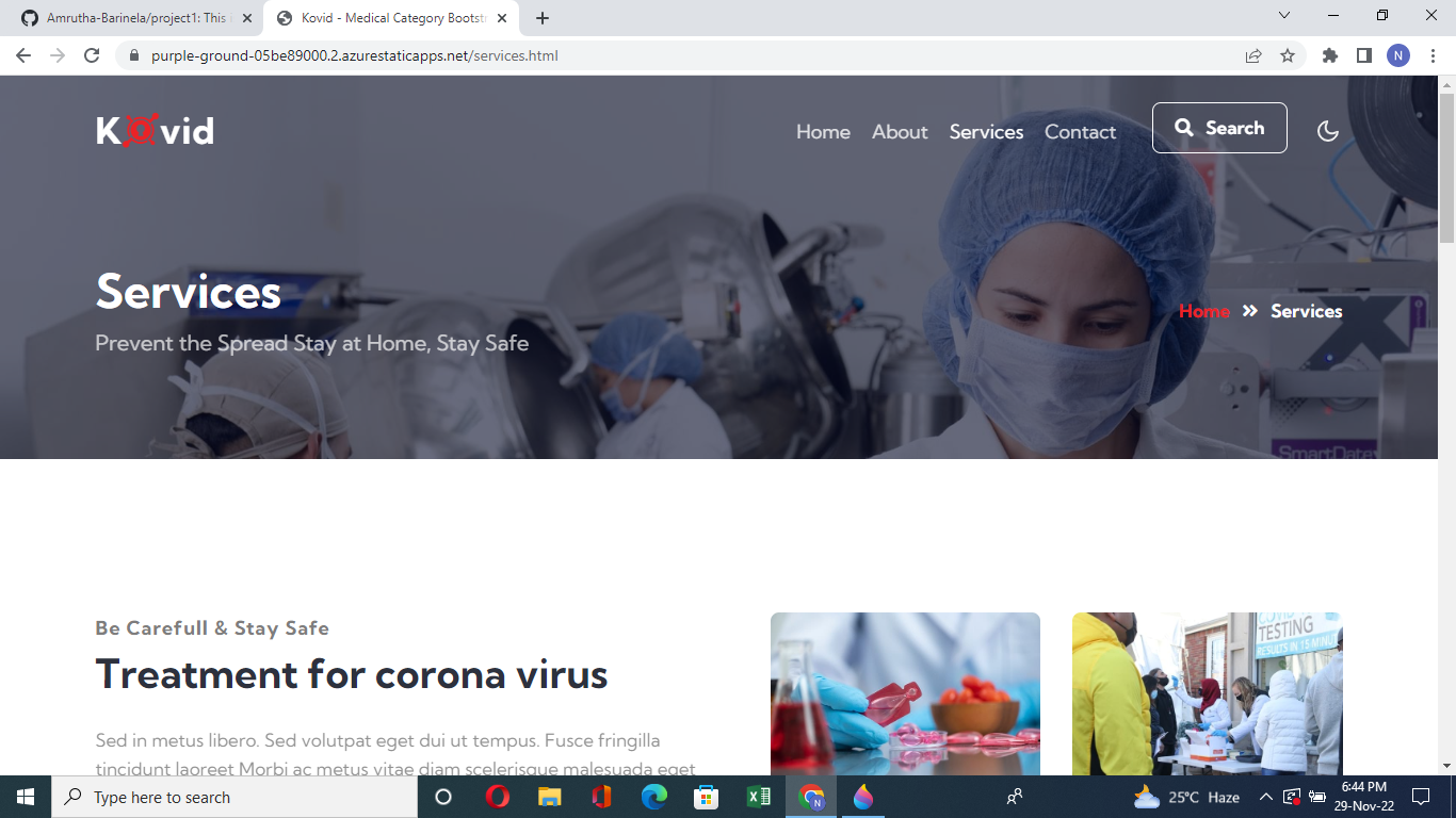 GitHub - Amrutha-Barinela/project1: This is my project1