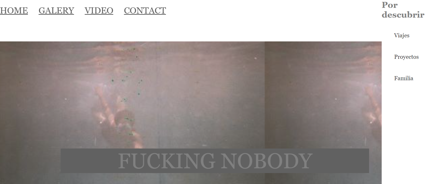 GitHub - yaracsoto88/pag_web_artist: Pagina Web sobre mi amigo Fran, el músico