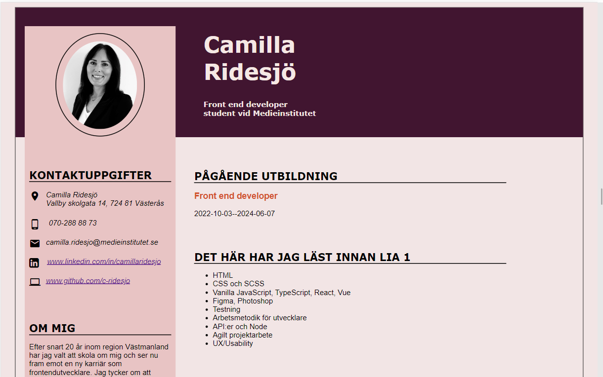 GitHub - c-ridesjo/CV: A school project created with HTML and CSS