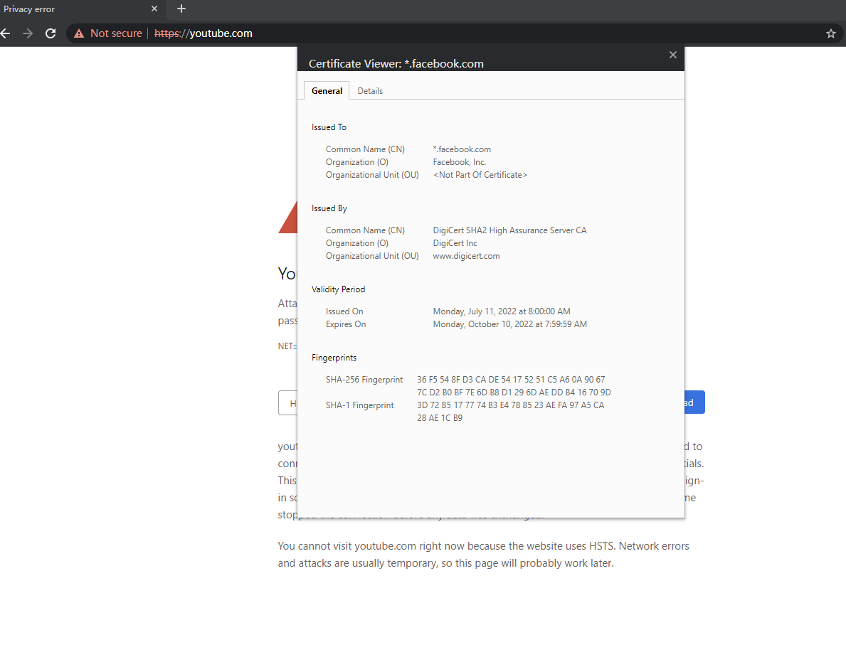又一次出现DNS污染 · Issue #939 · netchx/netch · GitHub 又一次出现DNS污染 · Issue #939 · netchx/netch · GitHub