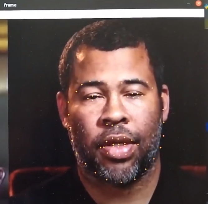 GitHub - wangefan/ert_cpp: C++ implementation of One Millisecond Face ...