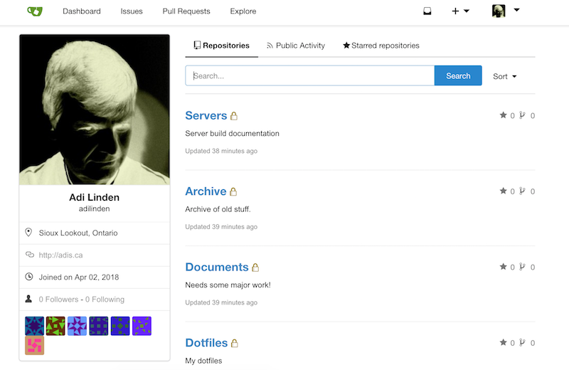 Dashboard does not show repositories for user · Issue #3750 · go-gitea/gitea · GitHub