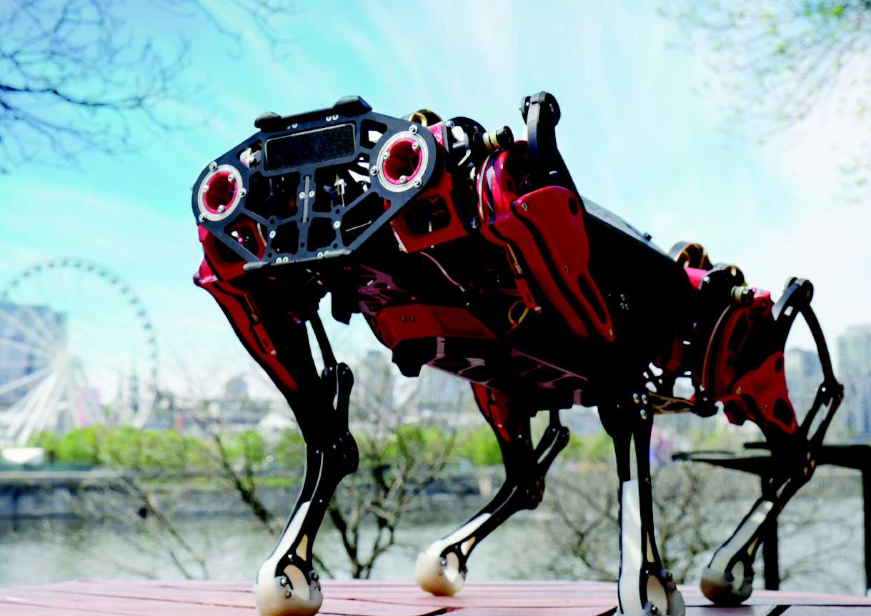 GitHub - montrealrobotics/REAL_lab_info: Information about our lab, the repositories that we use ...