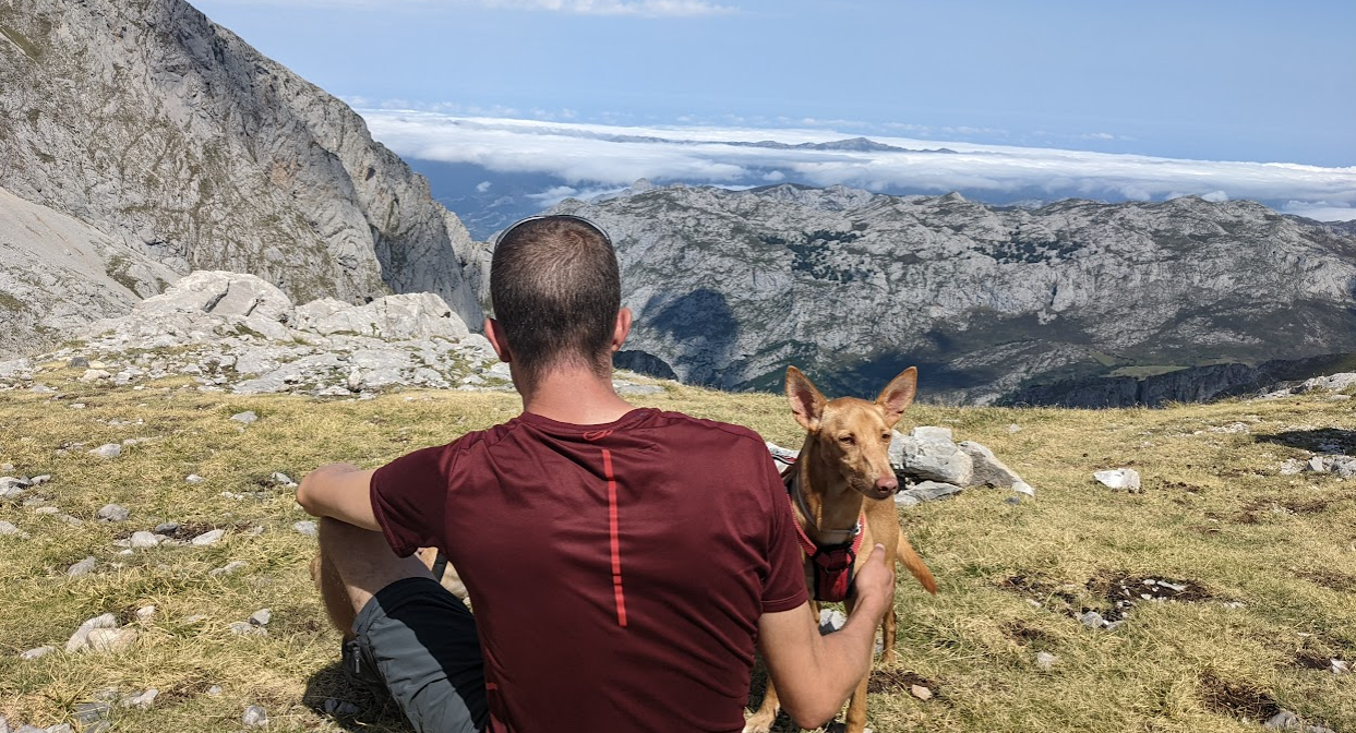 WillMolas (Guillem Molas Ferrer) · GitHub