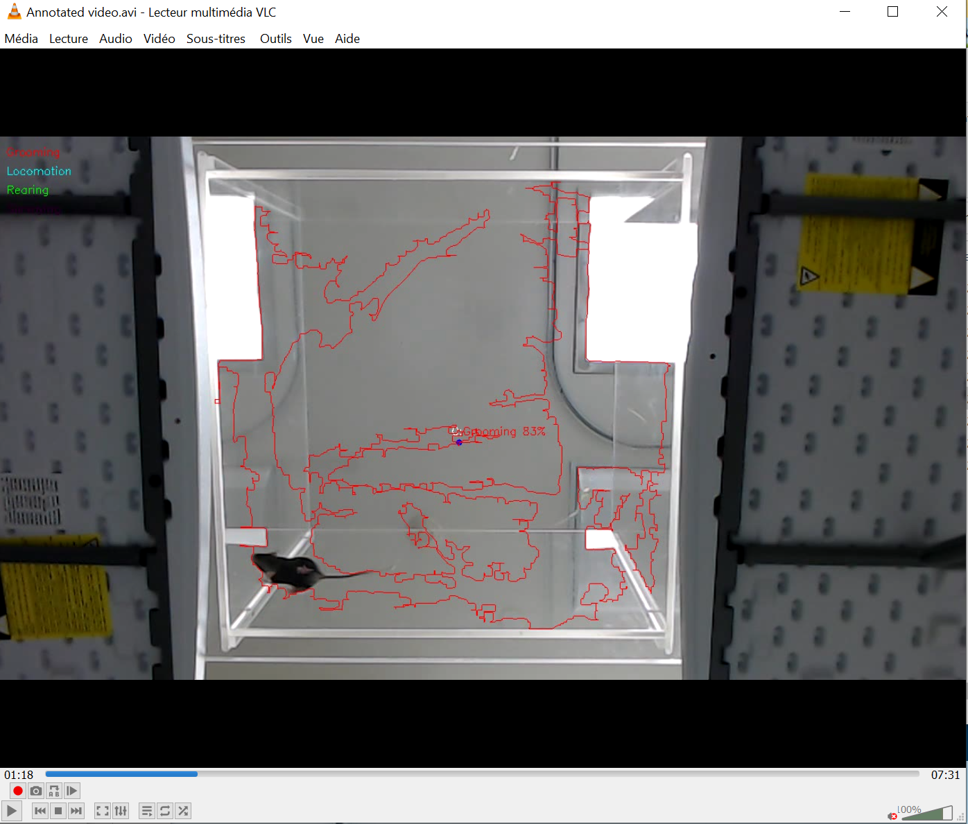 Issue concerning mouse detection during “Generate Behaviour Examples ...