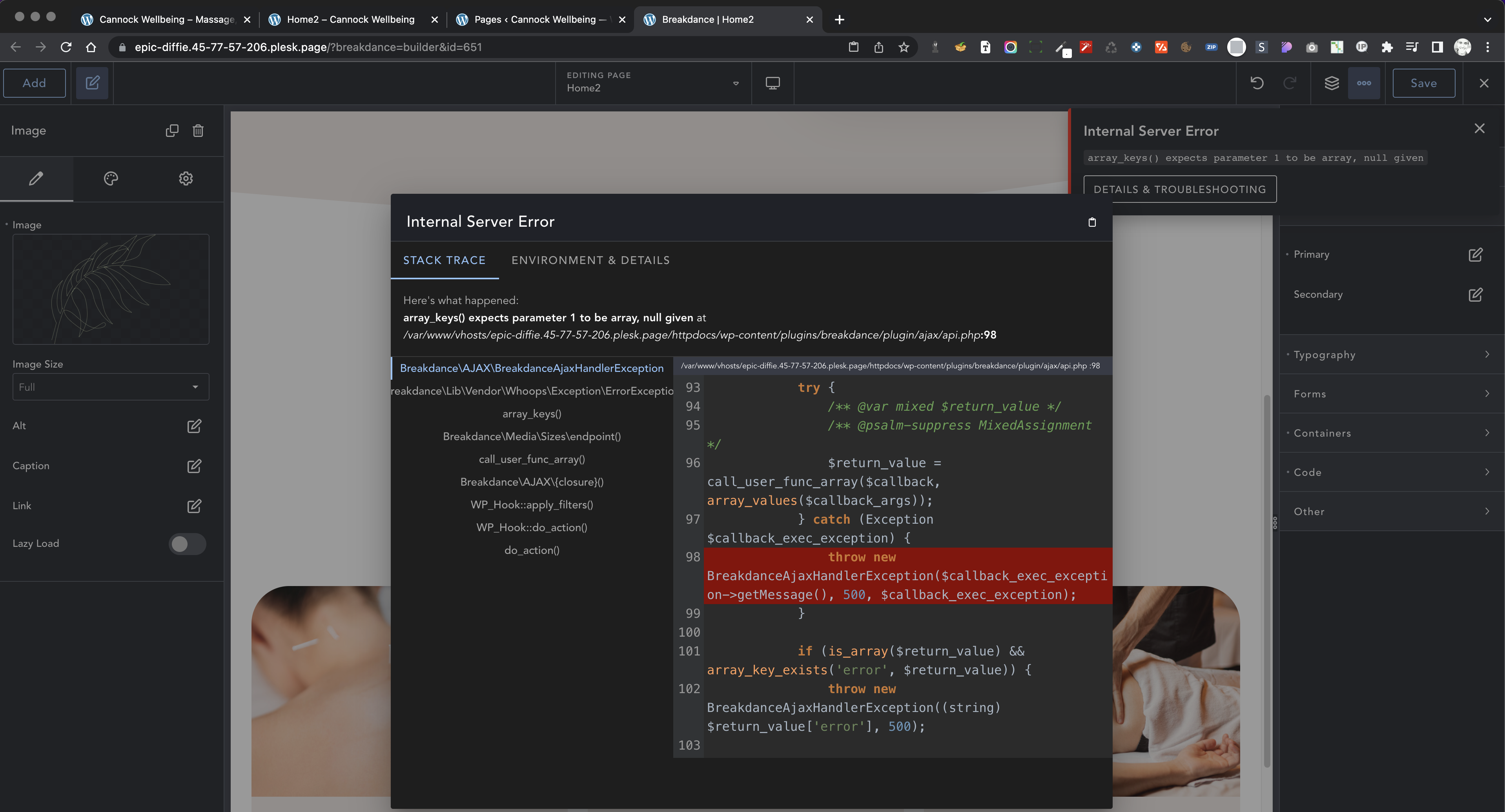 Error When Using SVG as Logo · Issue #437 · soflyy/breakdance-bugs · GitHub