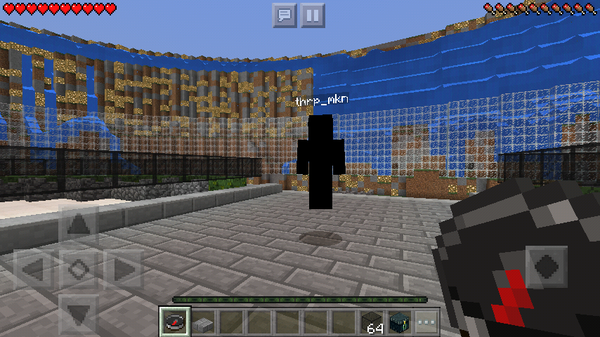 Skin of other player is completely black · Issue #244 · DragonetMC/DragonProxy · GitHub