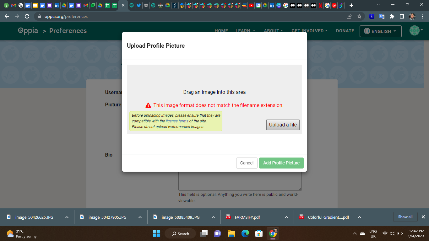 Incomplete error message · Issue #17711 · oppia/oppia · GitHub