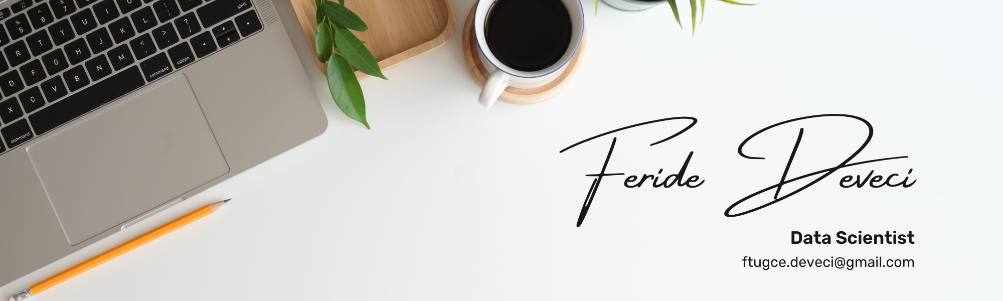 Feridetugce Feride Deveci · Github