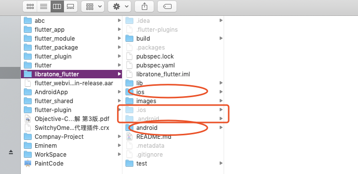 Anyone knows how to create Flutter project both Application mode and ...