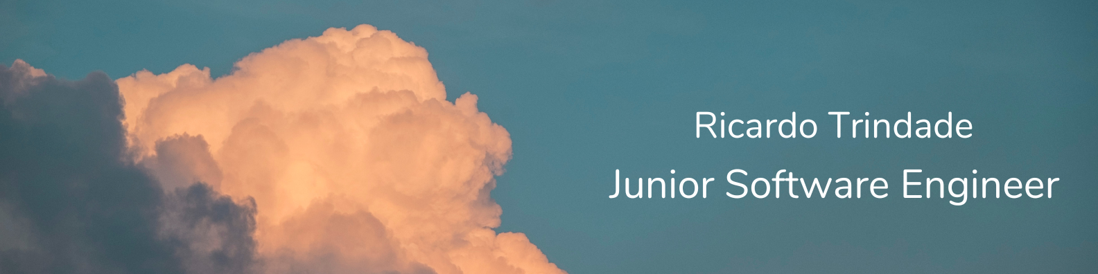 ricTrindade (Ricardo Trindade) · GitHub